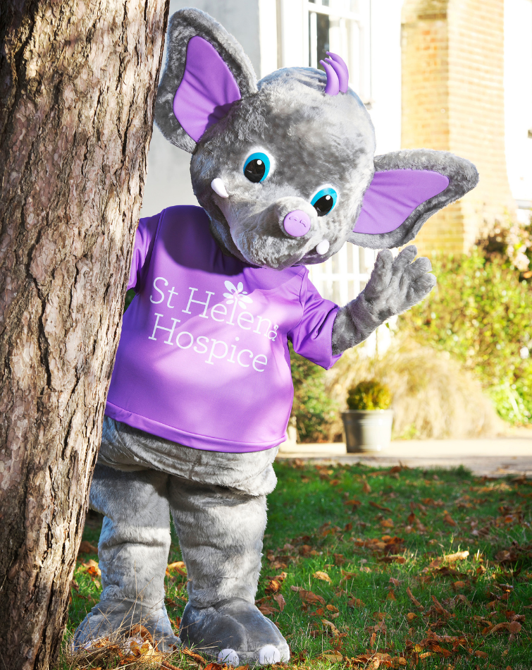 St Helena Hospice launches new mascot named after hospice movement ...