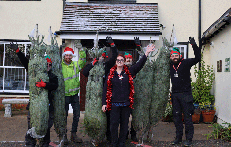 Local Christmas tree farm brings cheer to St Helena Hospice | St Helena ...