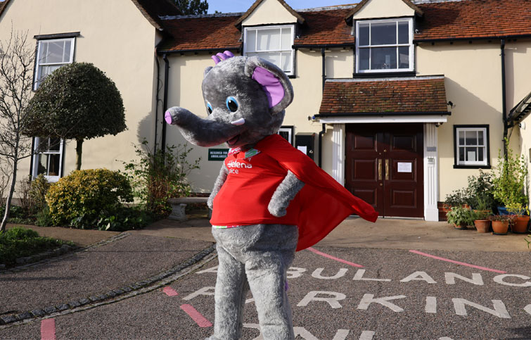 Not all heroes wear capes | St Helena Hospice