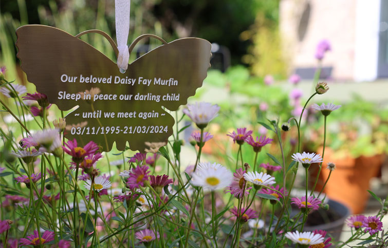 Dedicate a butterfly for St Helena Hospice | St Helena Hospice